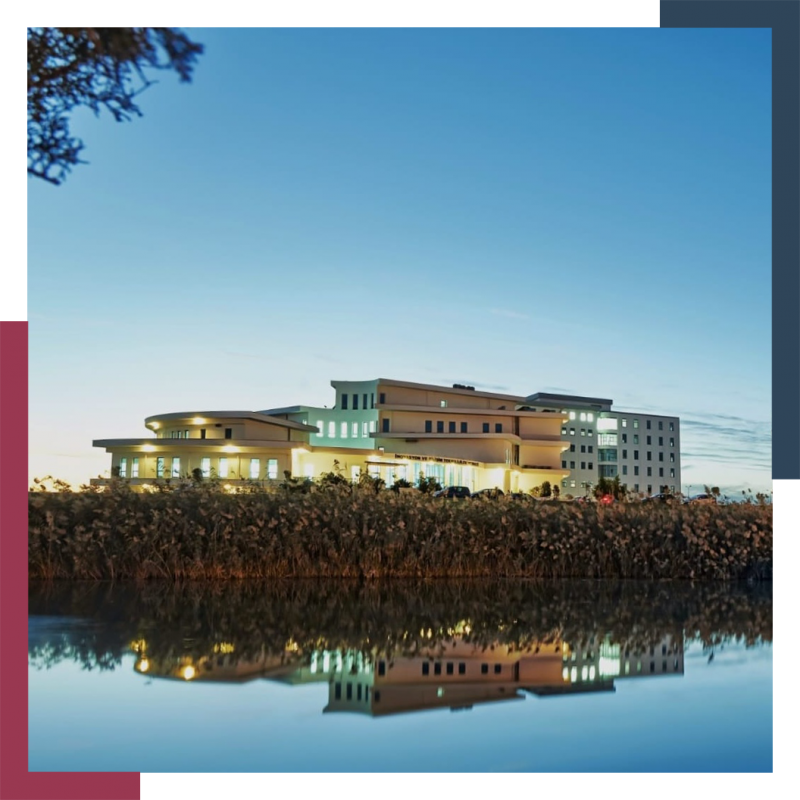 NEU, Faculty of Engineering – neu.edu.tr